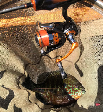 JDM Spinning Reels